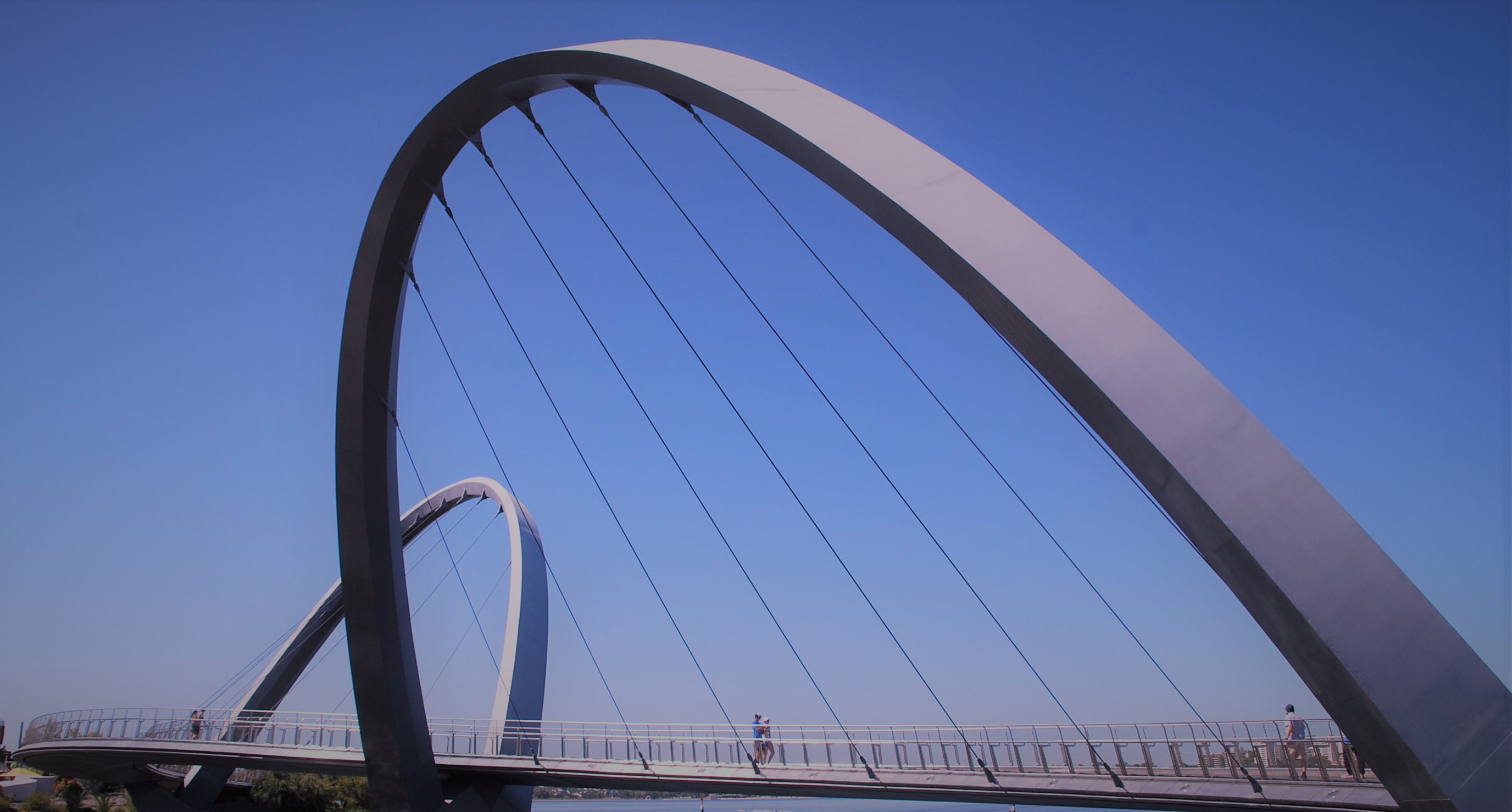 Eione Financial Consulting – Portfolio Management en Trading ...